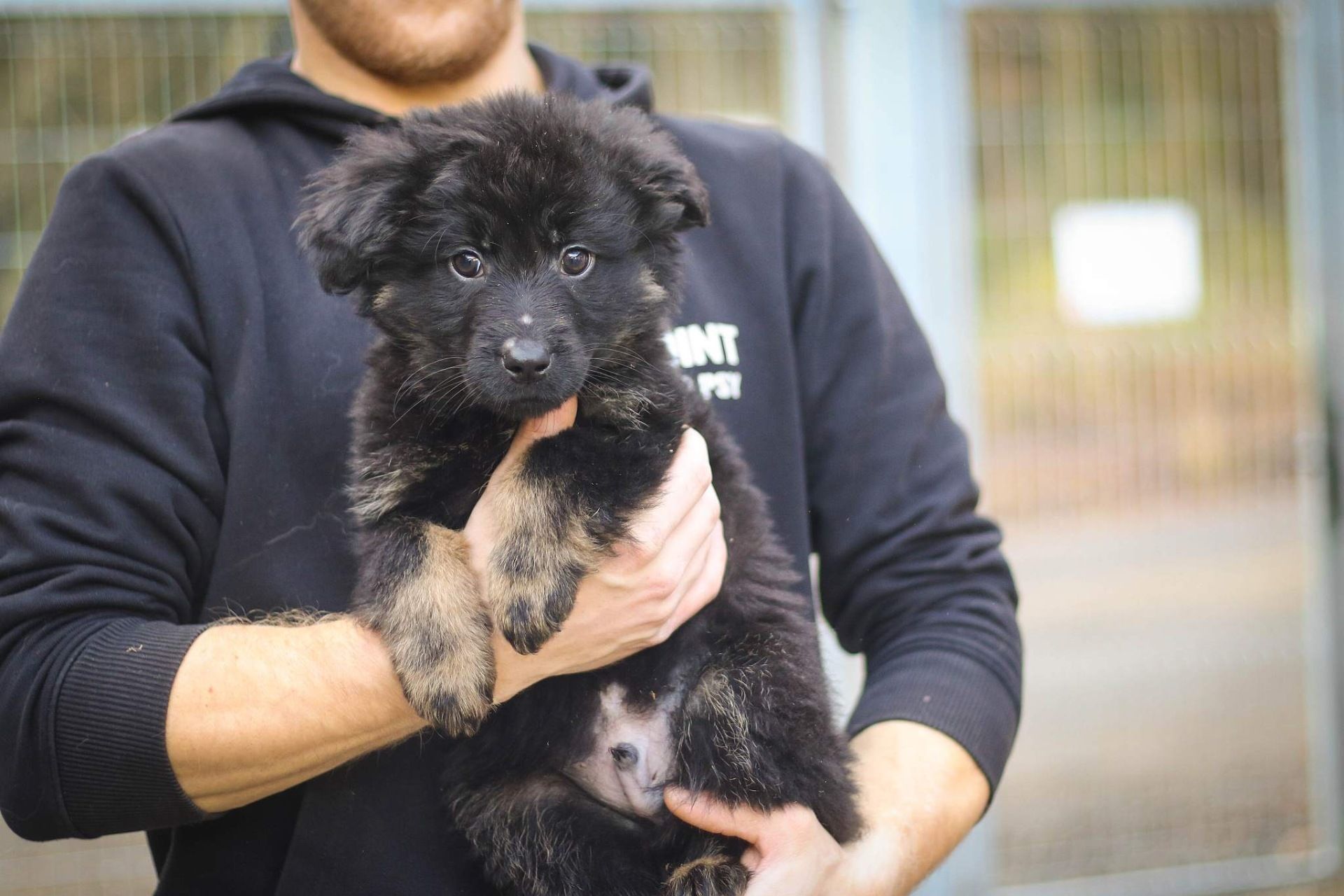 Malíček 🐾 Soukromý útulek pro opuštěné a týrané psy